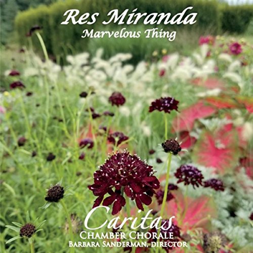 Amazon.com: Res Miranda : Caritas Chamber Chorale: Digital Music