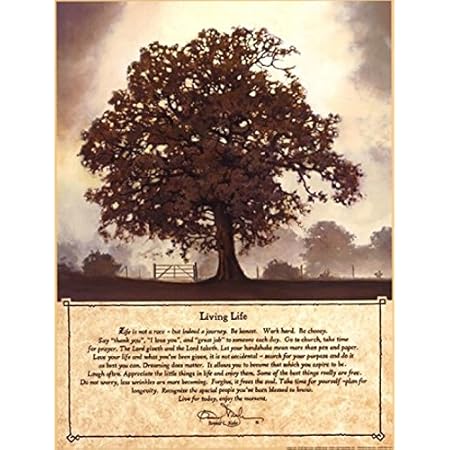 Amazon.com: Living Life - Poster by Bonnie Mohr (16 x 20) : Home & Kitchen