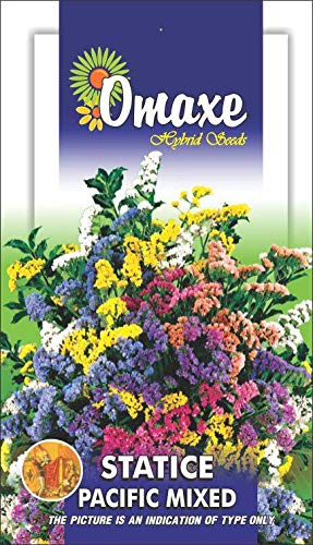 Statice Pacific Mixed Flower Seeds Kitchen Garden Packet by Garden Care ...
