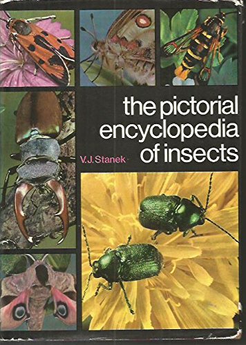 Amazon.co.jp: Pictorial Encyclopedia of Insects : Japanese Books