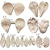 Amazon.com: 12set Gum Paste Flower Tools- Gumpaste Flower Molds and ...