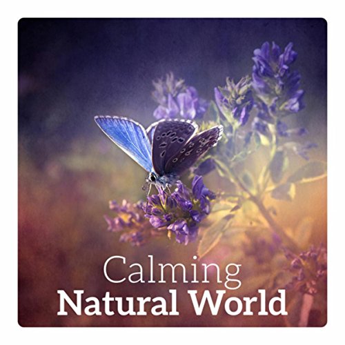 Play Calming Natural World – Calmness, Restful Break, Relaxing Time ...