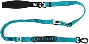 Amazon.com : Premium Reflective Dog Leash with 360° Rotating Neoprene ...
