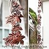 Amazon.com : Aifeorzo Maple Leaf Rain Chain, 8.5 Feet Rain Chains for ...
