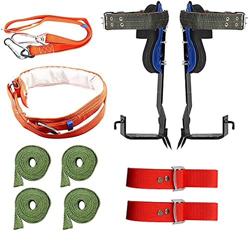 Best Tree Climbing Gear: Essential Tools for Scaling Trees Safely