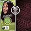 Amazon.com : Naturtint HairColor 3N Dark Chestnut Brown 1 Pack ...