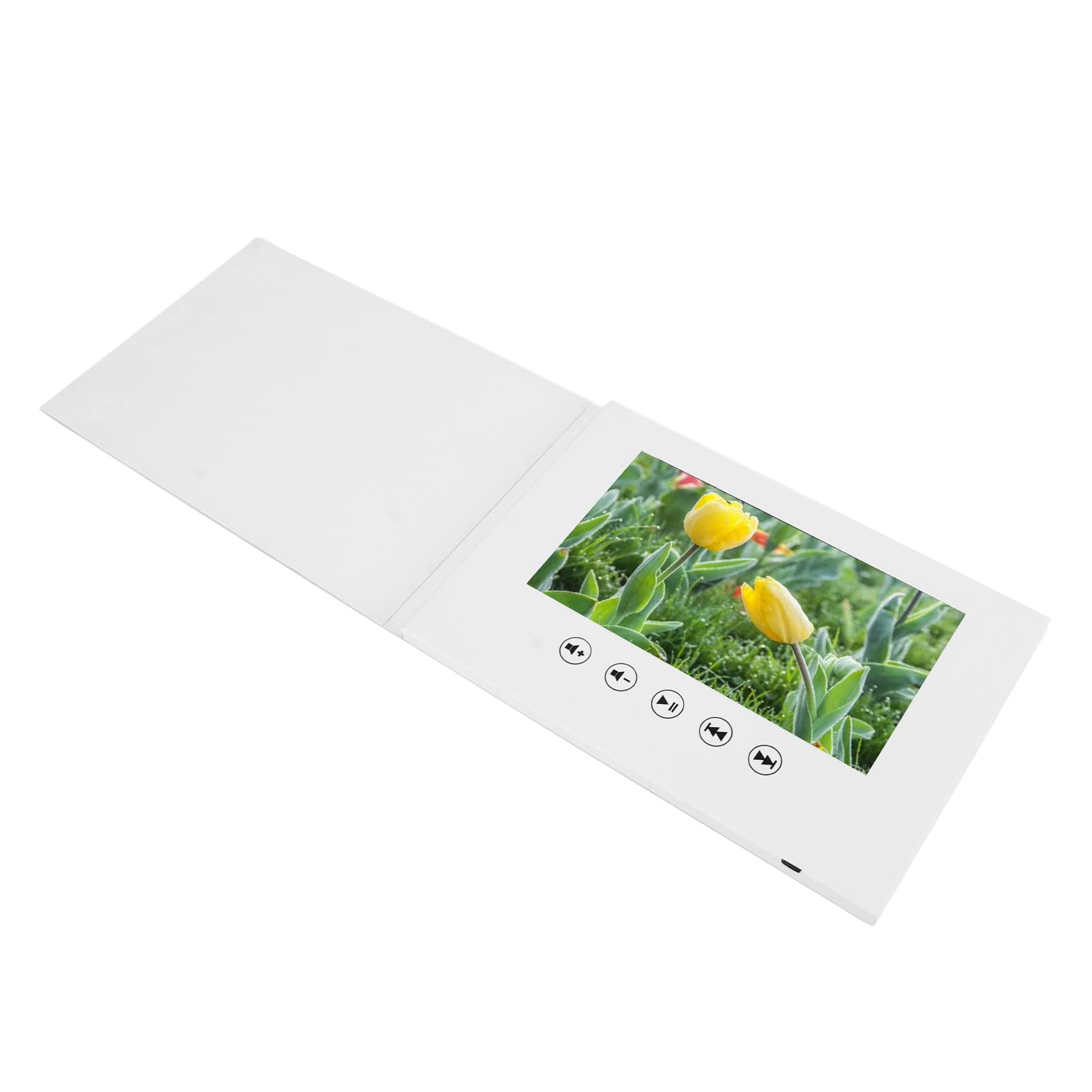 Amazon.com : Video Greeting Card, Electronic Greeting Card, Video ...