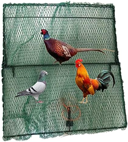 Amazon.com : 3XL Spring Domestic Bird Trap Dird Net Turkey Traps for ...