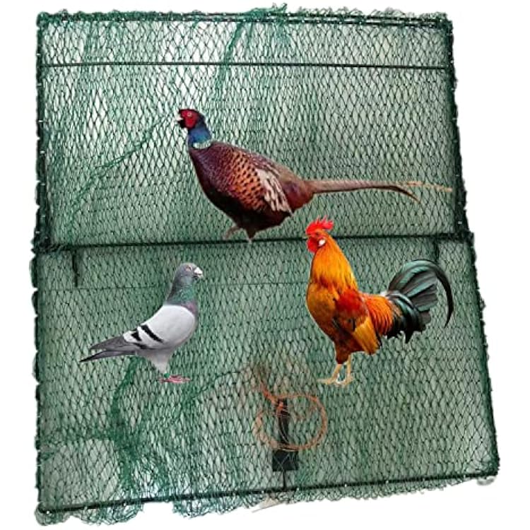 3XL Spring Domestic Bird Trap Dird Net Turkey Traps Nepal | Ubuy
