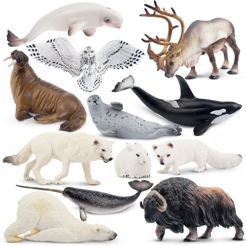Complete List of All The Animals That Can Predict Weather | All Things ...