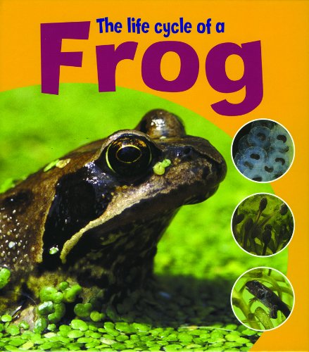 The Life Cycle of a Frog (Learning About Life Cycles): Thomson, Ruth ...