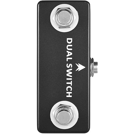 Amazon.com: Fender 2-Button Footswitch: Channel Select/Effects On/Off ...