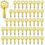 Amazon.com: Brass Finish Key Blanks, KW1 Uncut Blank Keys, Pack of 100 ...
