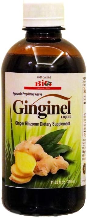 Amazon.com: Ginginel Liquid, Ginger Supplement, Fermented Liquid ...