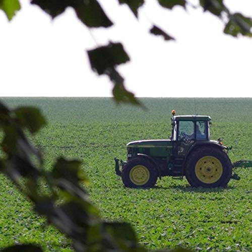 Amazon.co.jp: Lavish : The Hey Fellows: Digital Music