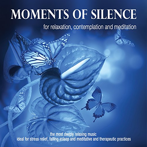 Meditation song by Colin Willsher from Moments of Silence for ...