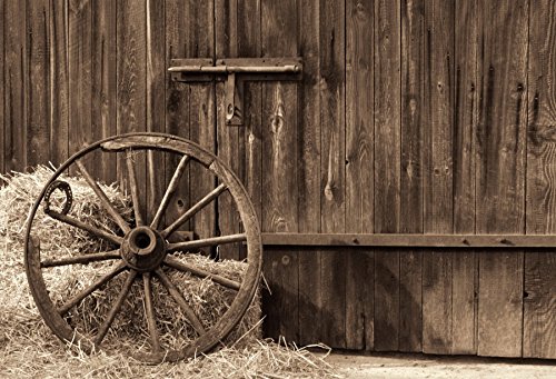 Buy Retro Western Style Backdrops - Yeele 10x8ft Wooden Barn Door ...