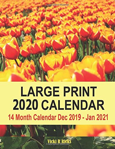Large Print 2020 Calendar: 14 Month Large Print Calendar for 2020 ...