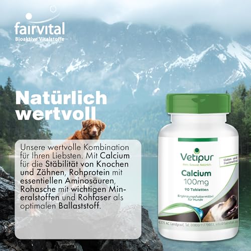 Calcium Hund – Die 16 besten Produkte im Vergleich - HundeINFOPortal