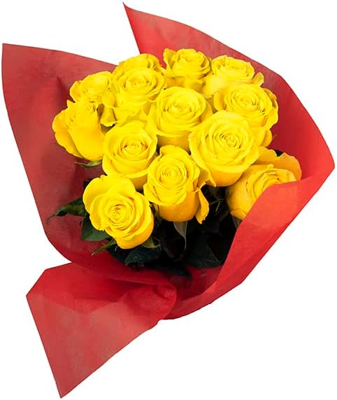 Amazon.com : Roses Dozen 40CM : Grocery & Gourmet Food