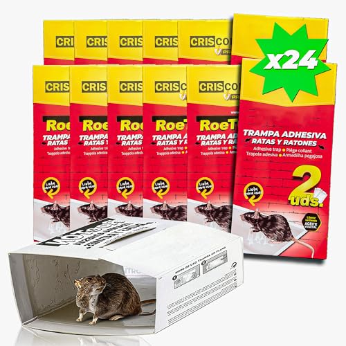 Pegamento para ratas: conoce los componentes y cómo utilizarlo de ...