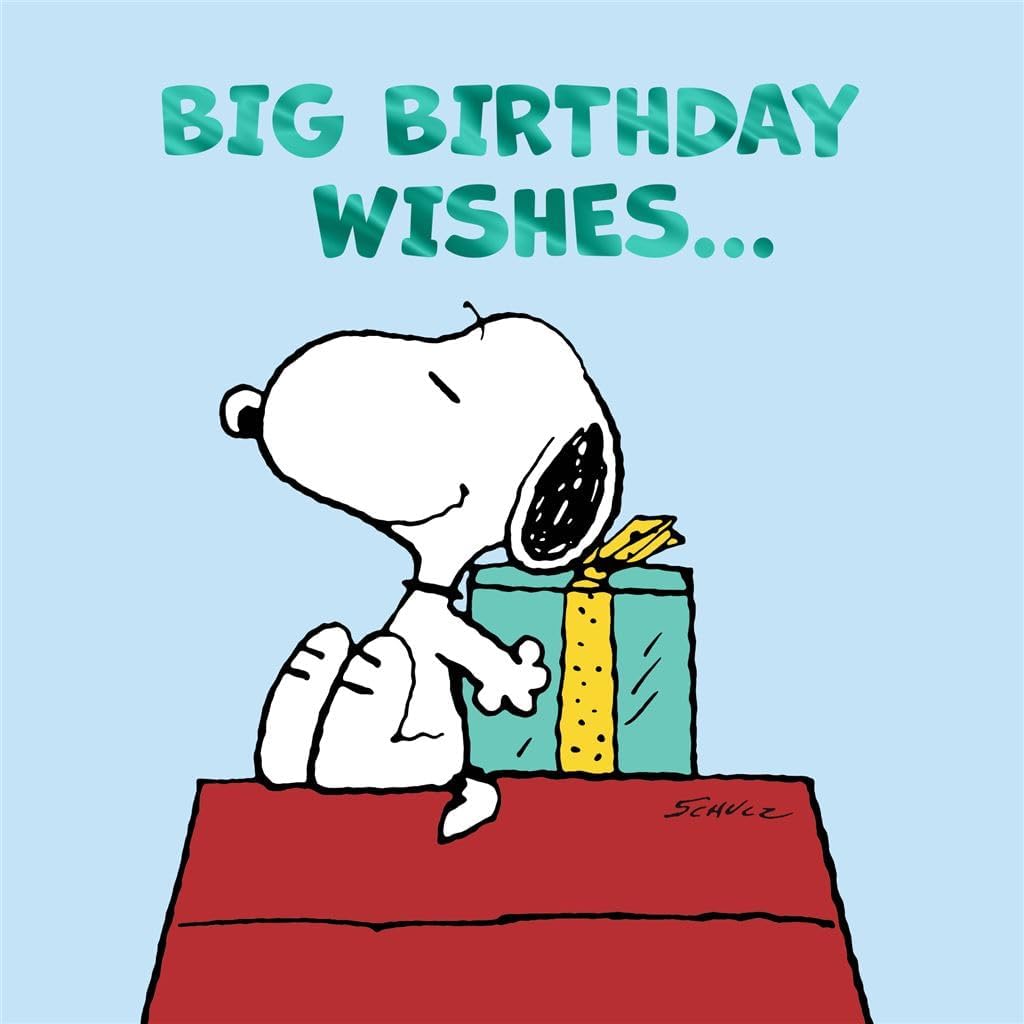 Cards Hallmark Peanuts Snoopy Compleanno Grande Auguri di Compleanno ...
