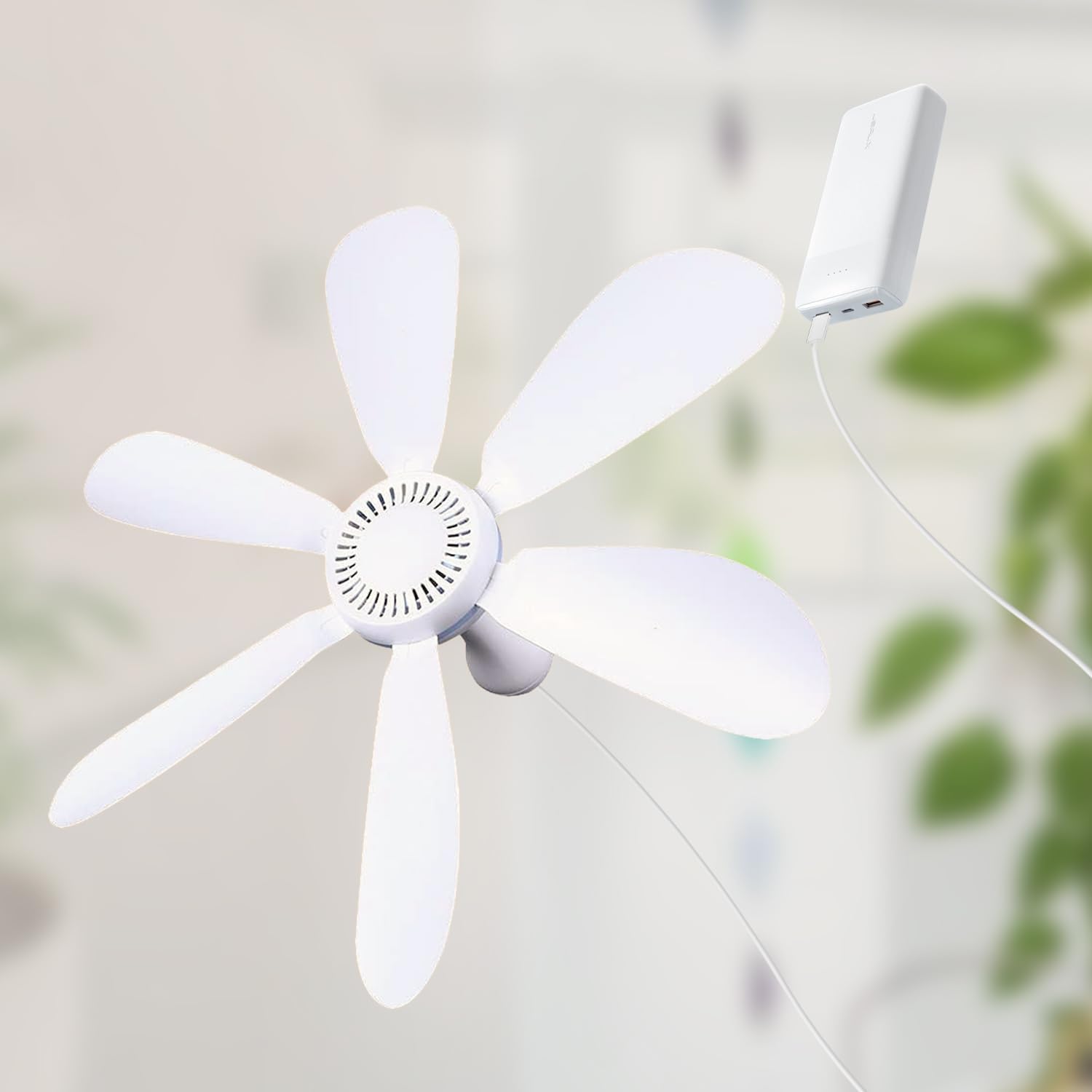 Amazon.com: Airwit Low Profile Ceiling Fan, Modern Ceiling Fan for ...