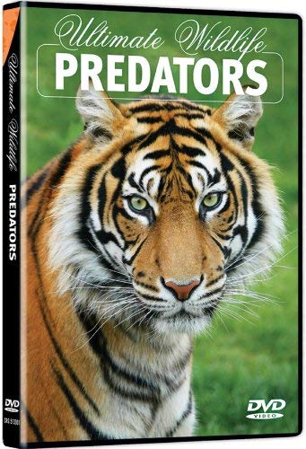 Ultimate Wildlife: Predators [Edizione: Stati Uniti] [USA] [DVD ...