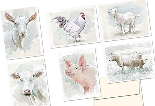 Amazon.com : Note Card Cafe Thank You Greeting Card Set with Envelopes ...