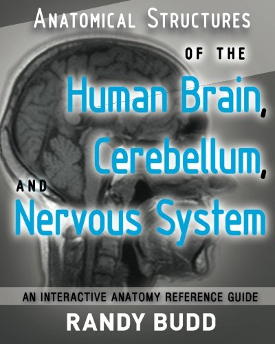 Anatomical Structures of the Human Brain, Cerebellum and Nervous System ...