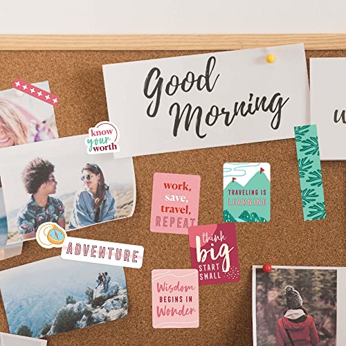 Navy Peony Viva Magenta Goal Setting Vision Board Stickers (48 Pieces ...