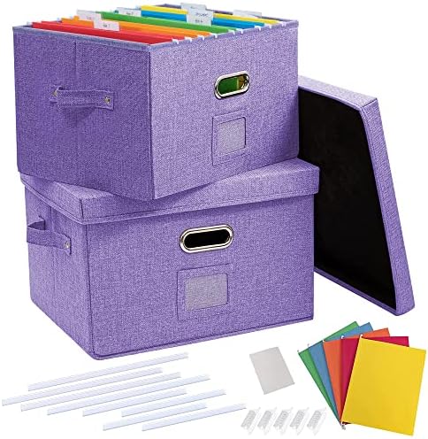 Amazon.com : Aliceset 2 Pack File Organizer Box Linen Hanging Office ...