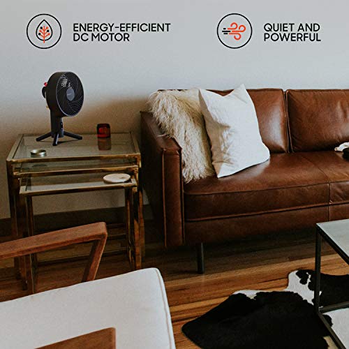 Snapklik.com : Sharper Image SPIN 10 Oscillating Desktop Fan