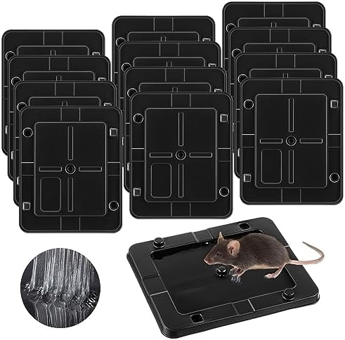 Amazon.com : Qualirey 6 Pack Mouse and Insect Glue Traps, Strong Sticky ...