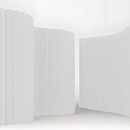 Amazon.com - Room Divider,Paper partition for Room Separation,Room ...