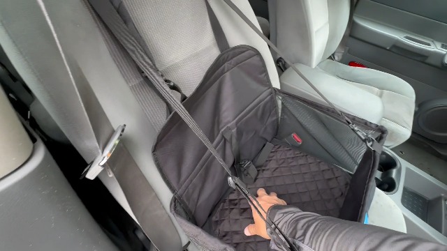 Watch Small Dog Car Seat. PINT SIZE TRAVEL THRONE. on Amazon Live