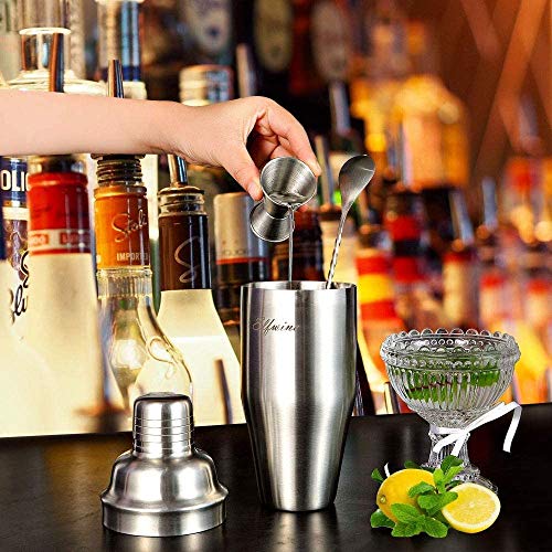 Cocktail Making Set Cocktail Gift Set - 750ML Cocktail Shaker Set Bonus ...