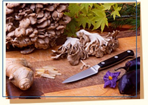 Amazon.com : Cult Hen-of-the-woods Maitake Mushrooms - 5 Lb Unit ...