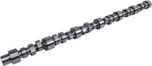 Amazon.com: HOLDWELL Camshaft 4059331 4059170 4298626 3680779 ...