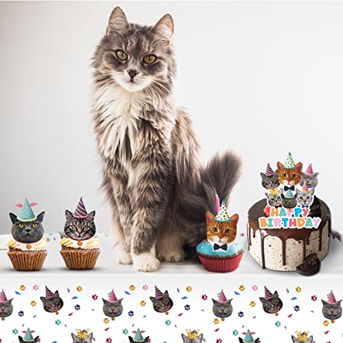 Snapklik.com : 96Pcs Cat Birthday Party Supplies, Kitten Birthday ...