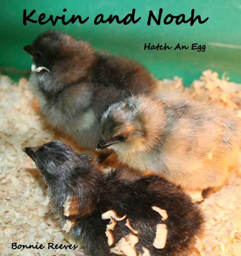 Kevin And Noah Hatch An Egg eBook : Reeves, Bonnie, Bonnie Reeves ...