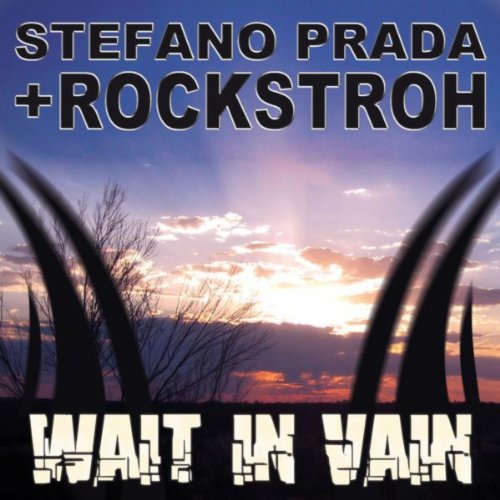 Amazon.com: Wait in Vain : Stefano Prada & Rockstroh: Digital Music