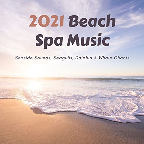 2021 Beach Spa Music: Seaside Sounds, Seagulls, Dolphin & Whale Chants ...