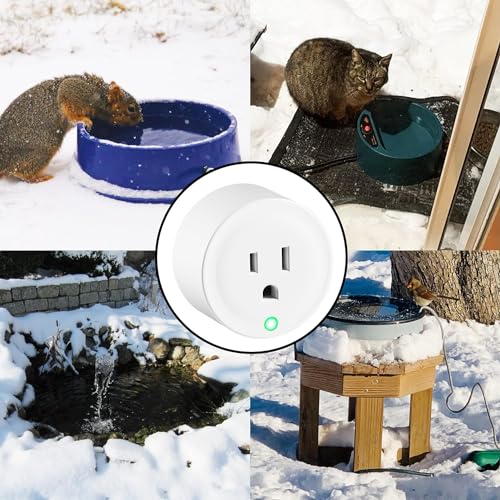 Snapklik.com : Zoblise Thermostatically Controlled Outlet: