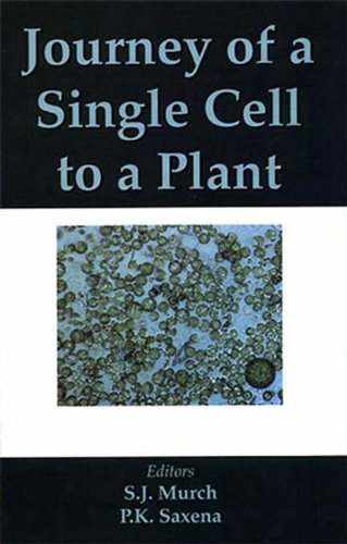 Journey of a Single Cell to a Plant: Murch, S J: 9781578083527: Amazon ...