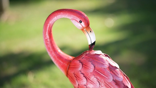 Watch lovely pink flamingo statues garden decor on Amazon Live