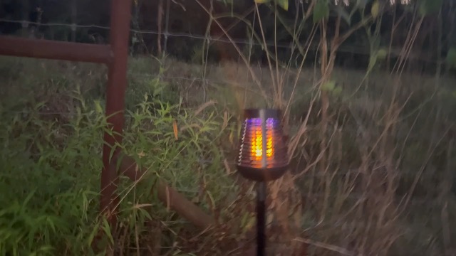 Watch A bug zapper that is aesthetically pleasing to the eye on Amazon Live