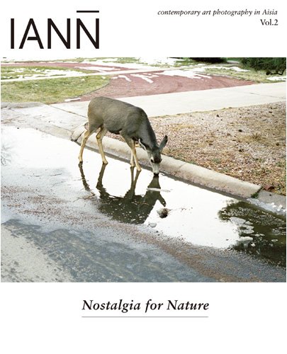 IANN (Vol 2): unknown author: 9784902943320: Amazon.com: Books