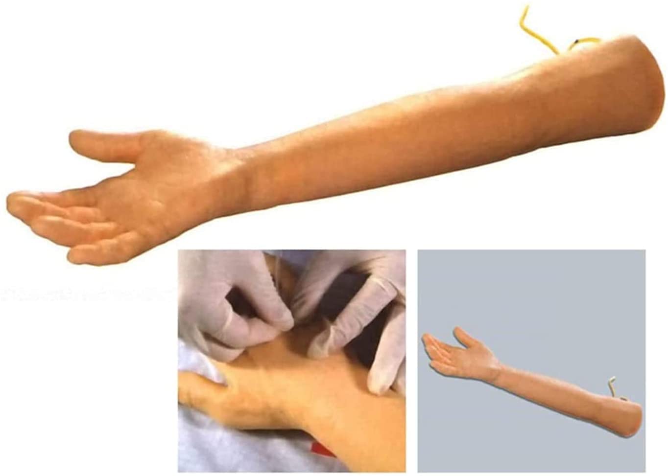 Buy SUN RNPP The Elderly Venipuncture Practice Kit, Phlebotomy and IV ...