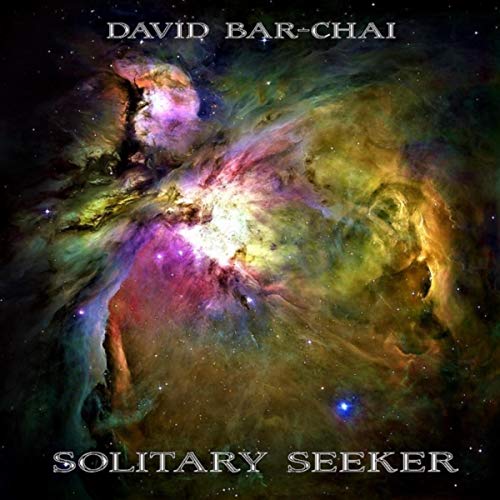 Amazon.com: Solitary Seeker : David Bar-Chai, Peyal Peled & Moshe ...
